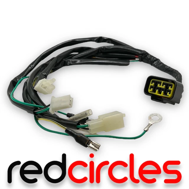 PIT BIKE ZONGSHEN 125 h/o DIGITAL WIRING LOOM HARNESS 125cc Z125 ...