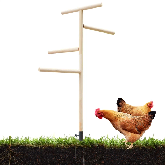 1XCHICKEN TOYS FOR Coop Chicken Ladder Platforms Perches Birds Chicken ...