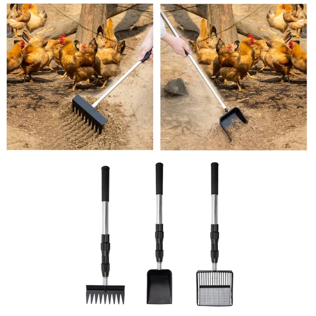 METAL CHICKEN Scooper,Stainless Steel,Telescopic Adjustable Long Handle ...