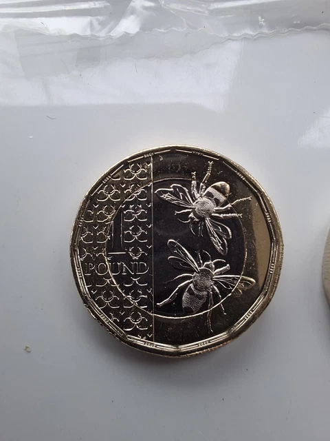 2025 KING CHARLES £1 One Pound coin Bee From A Sealed Bag X 1 Coin. £10 ...