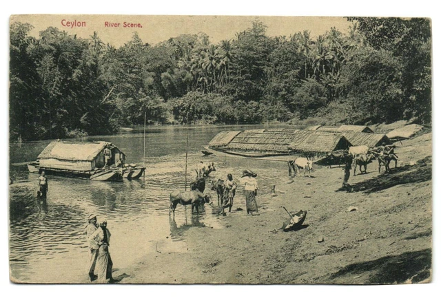 PC CEYLON - SRI LANKA, RIVER SCENE, Vintage Postcard (b37493) EUR 11,99 ...