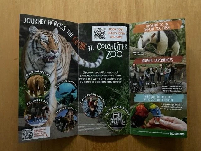 COLCHESTER ZOO PROMOTIONAL Flyer / Leaflet Your Wild Adventure Awaits ...
