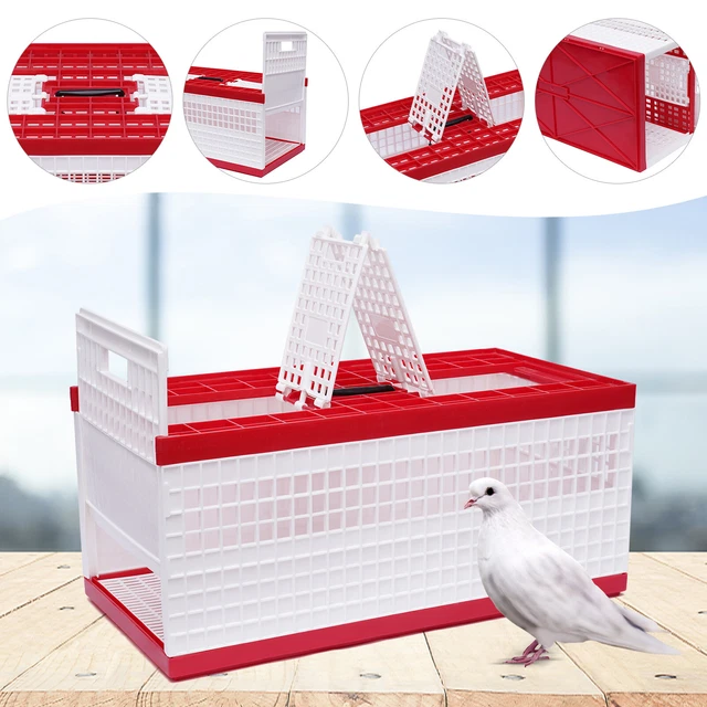 RACING PIGEON CARRIER Box Bird Training Basket With 2 Side Doors 2 Top ...