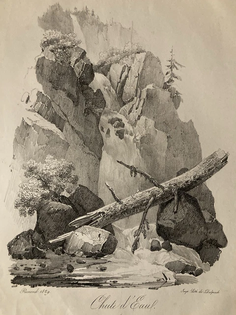 VERY BEAUTIFUL ENGRAVING Tree Art Trunk Delpech Remond 1829 Lithograph ...