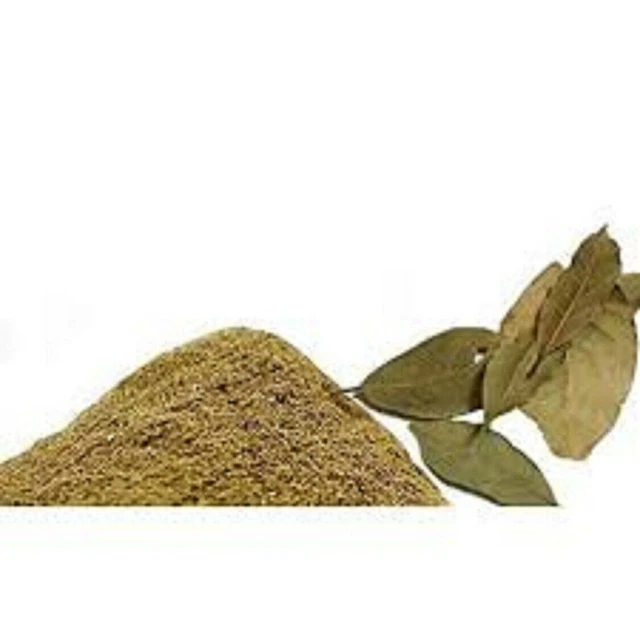 POUDRE AYURVÉDIQUE À base de plantes Tamala Patra, Cinnamomum, Feuille ...
