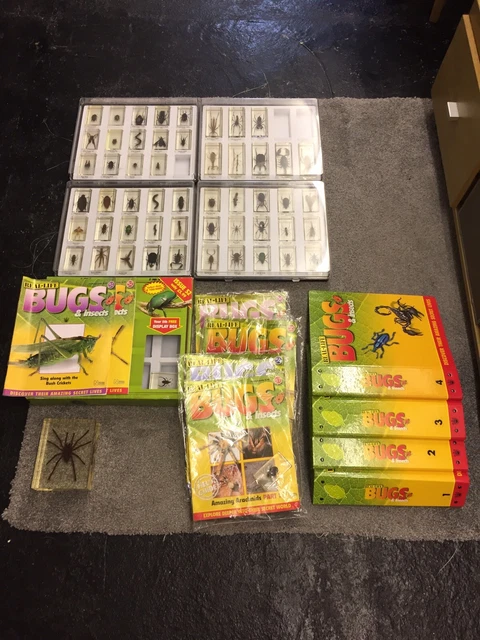 REAL LIFE BUGS And Insects Plus Magazines Bundle £73.48 - PicClick UK
