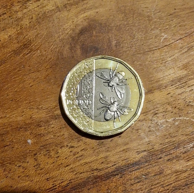 RARE £1 BRITISH Coin Royal Mint 2025 King Charles III Bees Collectible ...