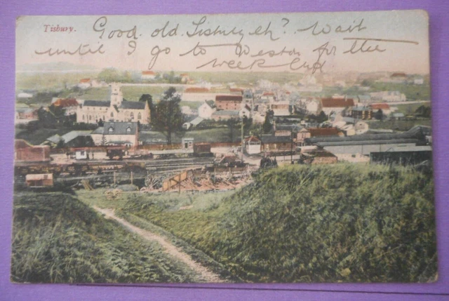 R.WILKINSON POSTCARD POSTED 1907 VIEW OF RAILWAY STATION TISBURY ...