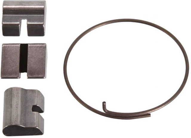 CLIQUETS ET RESSORT de corps de roue-libre SUN RINGLE Expert/Demon 2 ...