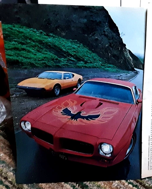 1973 FIREBIRD TRANS AM Pantera Magazine Cut Photo 70s vintage FS £9.53 ...