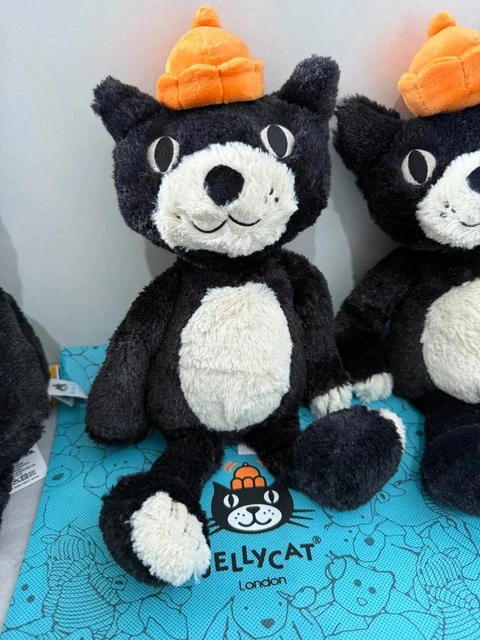 JELLYCAT CAT SERIES Jelly Cat Birthday 32cm Doll Brand tags+dust bag ...