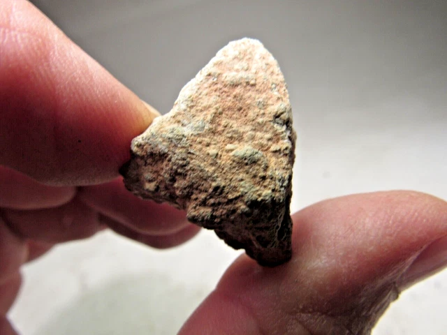 MUSEUM QUALITY! MAGNIFICENT Nwa 12241 Martian Shergottite Meteorite! 12 ...