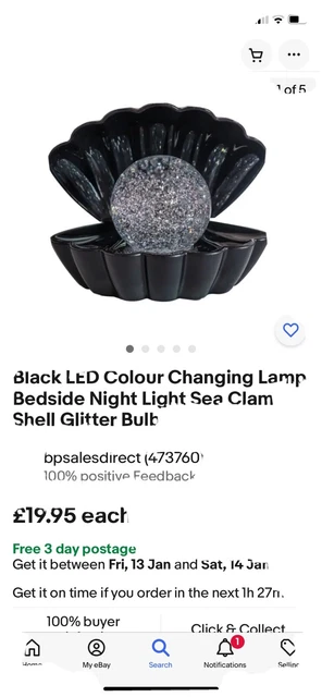 COLOUR CHANGING LED Sea Shell Lamp Bedroom Night Light Clam Glitter ...