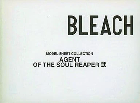 BLEACH MODEL SHEET Collection Japan Artbook X2 Anime Jump Manga EUR 20 ...