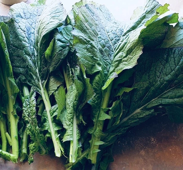 RAYO KO SAAG (Mulpani ko Rayo), Green Mustard seeds, Over 200 seeds. $5 ...