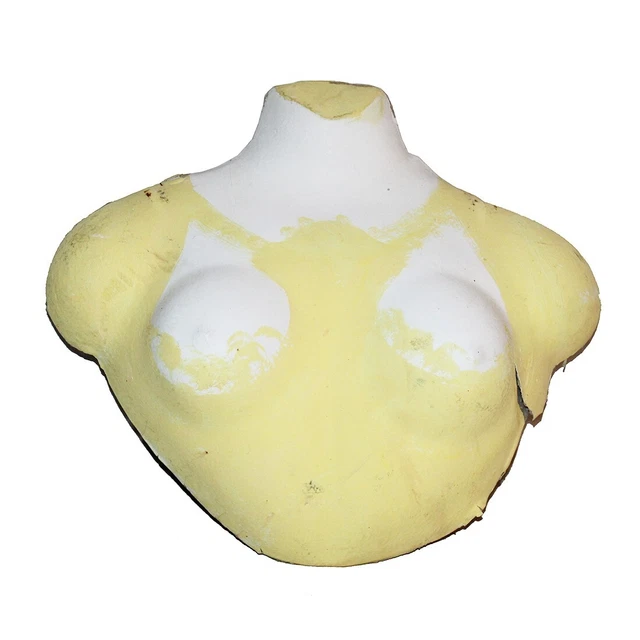 ANCIEN PRÉSENTOIR DE bonneterie buste poitrine de femme pour soutien ...