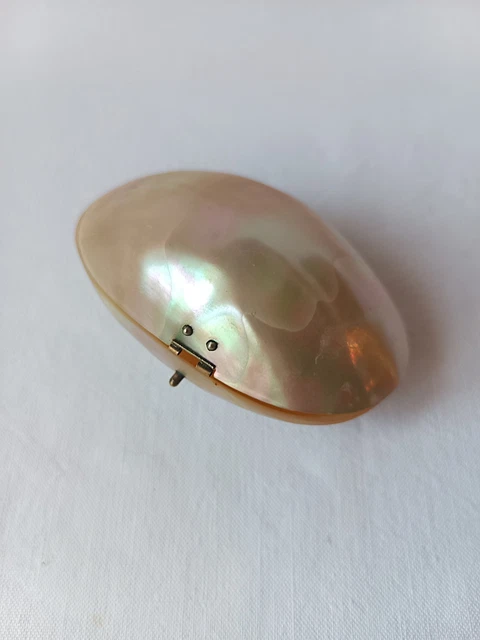 BOITE CHAPELET, PORTE-MONNAIE pilulier nacre irisée bijou vitrine ...