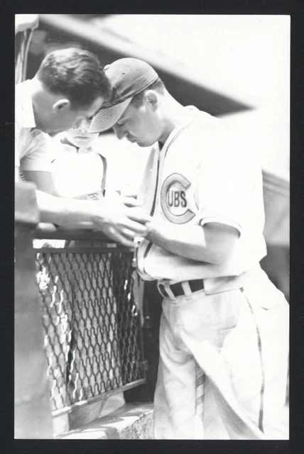 CARTE POSTALE PHOTO réelle BILLY HERMAN RPPC 1937 Cubs de Chicago ...
