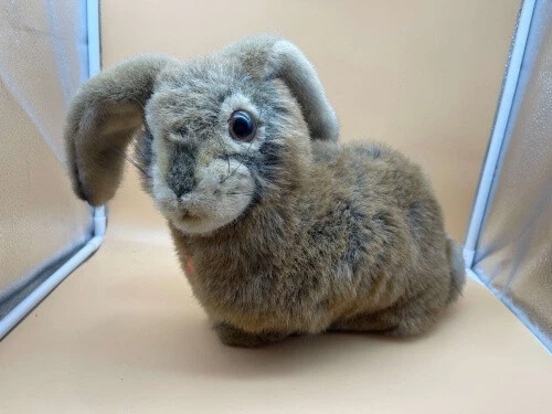 STEIFF TIER 077654 Lapin 30 cm. Excellent état EUR 66,14 - PicClick FR