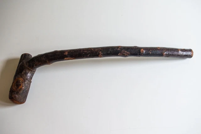 ANTIQUE IRISH BLACKTHORN Shillelagh Walking Stick / Cane / Cudgel 20 ...