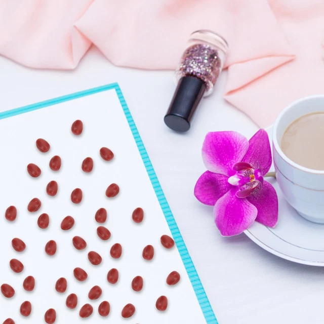 FAKE RED BEANS Model Realistic Simulation Beans Artificial Beans Photo ...