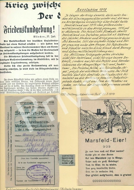 SCHRIFTEN FRIEDENSKUNDGEBUNG KURT Eisner 1919 Revolution Freikorps Band ...