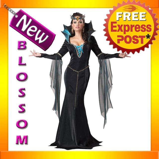 C799 EVIL SORCERESS Wicked Witch Womens Halloween Fancy Dress Up ...