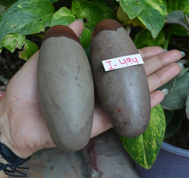 4 & SHIVA Lingam Pierre Narmada Rivière Inde Très Pieux & Rare Lingam ...