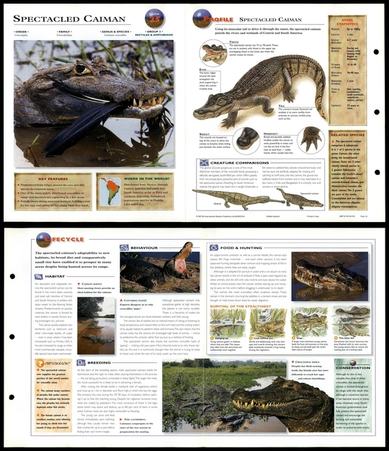 SPECTACLED CAIMAN #25 Reptiles - Wildlife Explorer Fold-Out Card £2.49 ...