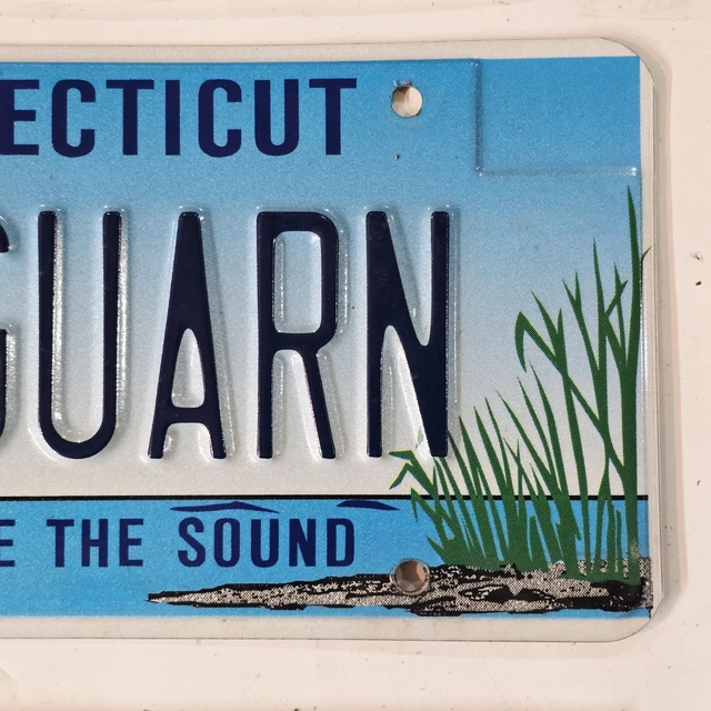 CONNECTICUT VANITY LICENSE Plate 🔥FREE📬🔥 CT Lighthouse Custom Tag ...