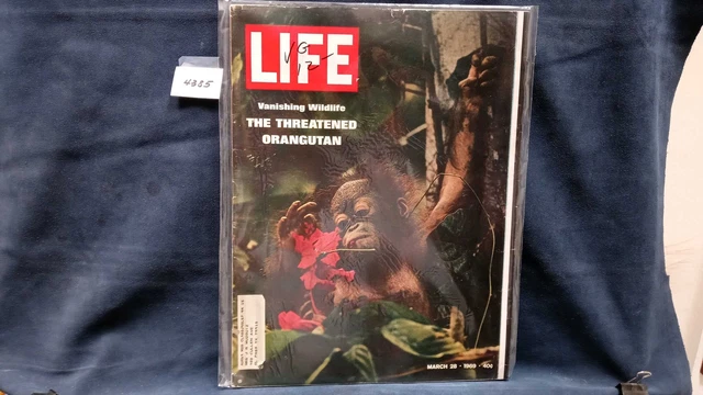MAGAZINE LIFE 1969 COVER VANISHING WILDFIRE £55.68 - PicClick UK