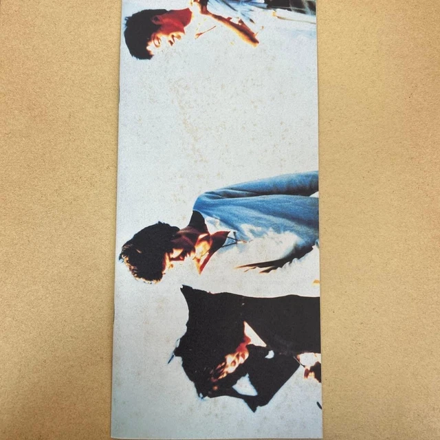 PICNIC PAMPHLET SHUNJI Iwai Chara Tadanobu AsBKoichi Hashizume 4n EUR ...