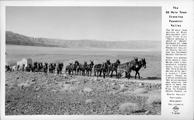 THE 20 MULE Team Crossing Panamint Valley Death Valley California OLD ...