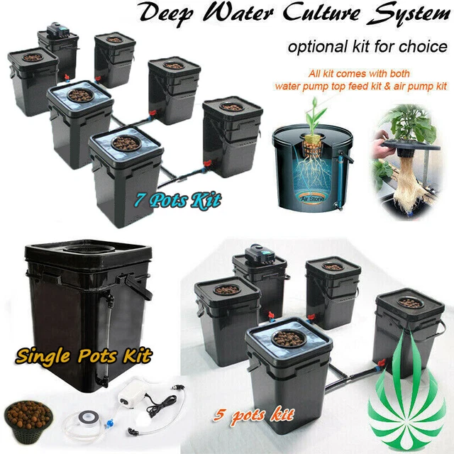 21L / 27L Dwc System Deep Water Culture Big Plant Fast Grow In Water ...
