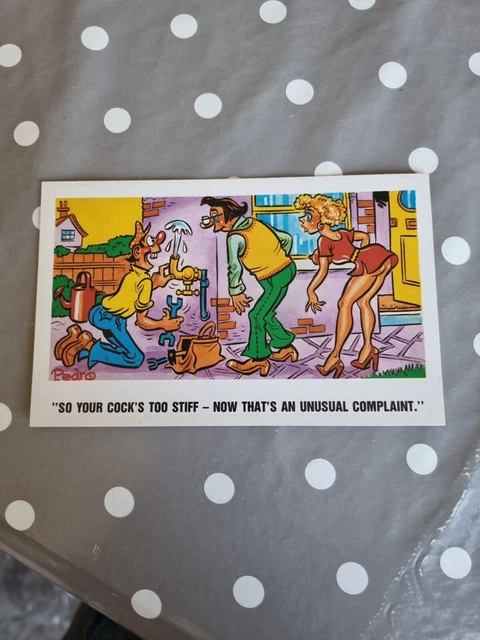 VINTAGE SAUCY SEASIDE Comic Postcard BAMFORTH Sunny Pedro Series No 251 ...