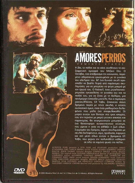 AMORES PERROS (EMILIO Echeverria, Gael Garcia Bernal) ,R2 DVD only Spanish $21.54 - PicClick AU