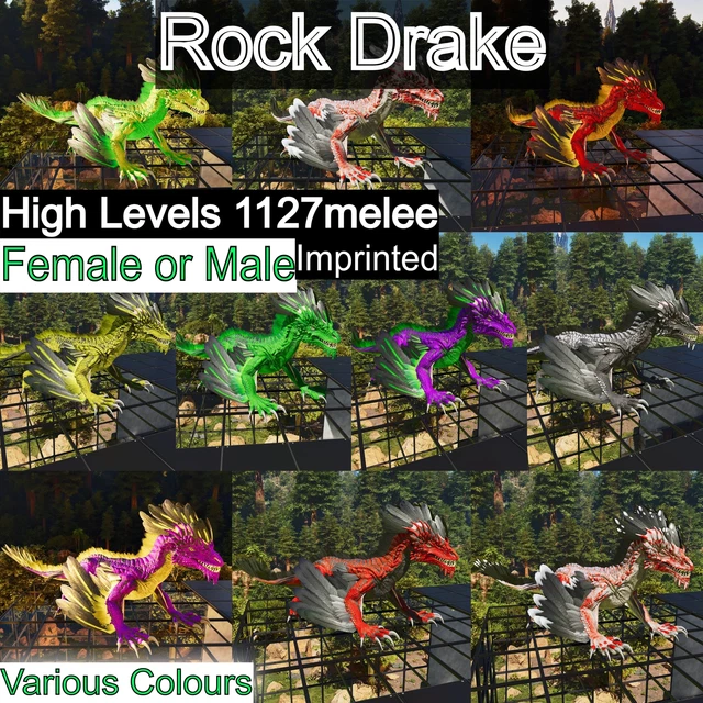 ARK SURVIVAL ASCENDED Pve Rock Drake / Drake 1127 Dmg Imprinted £7.47 ...