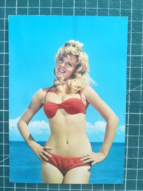 Ux307 Cpm Circa 1950 Photo Young Woman Sexy Pin Up Maillot Bath £6 74