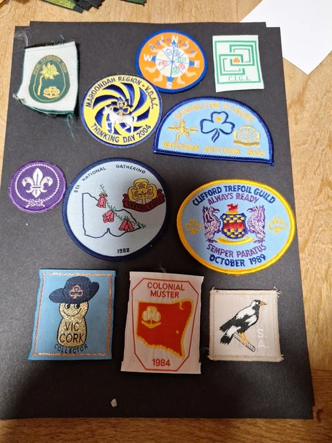 SCOUT BADGES AUSTRALIAN Assorted GIRL GUIDE Badges X11 £10.07 - PicClick UK