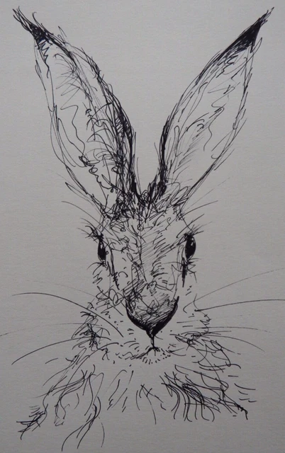 ORIGINAL BLACK INK pen sketch drawing of the head / face of a hare £29. ...
