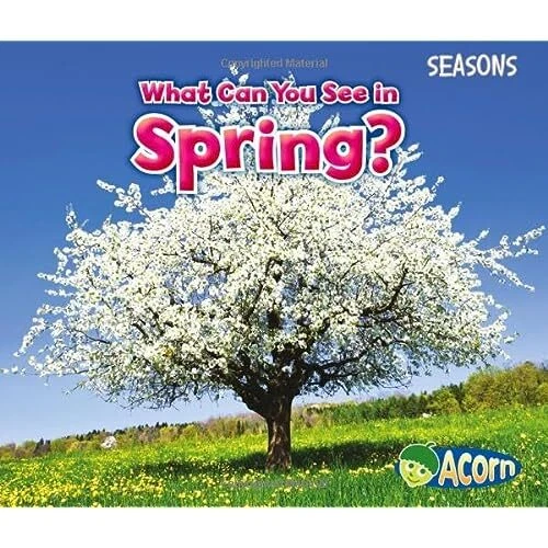 WHAT CAN YOU See in Spring? (Seasons (Heinemann)) - Paperback NEW Sian ...
