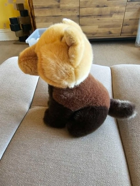 CHESTER ZOO BEAR Plush Toy - Preowned! £2.23 - PicClick UK