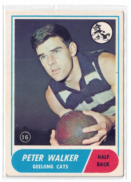 SCANLENS 1969 VFL AFL FOOTY FOOTBALL CARD PETER WALKER GEELONG CATS 16 ...
