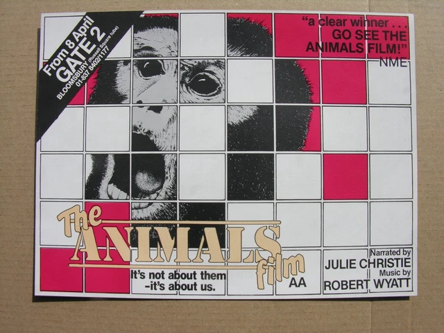 1980S THE ANIMALS FILM Julie Christie, Robert Wyatt, FLYER Gate 2 ...