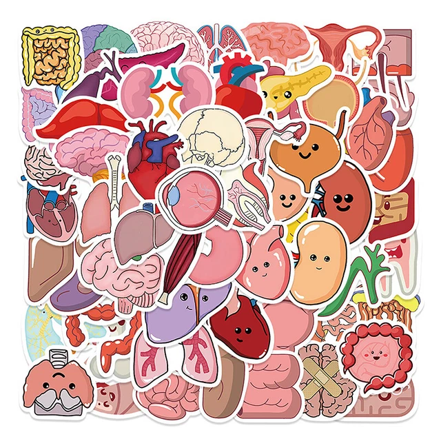 65PCS CARTOON HUMAN Organ Medical Anatomy DIY Graffiti Waterproof ...