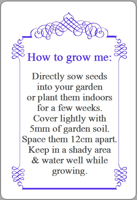 PERSONALISED FORGET ME Not Seeds Instructions Stickers In Loving Memory ...