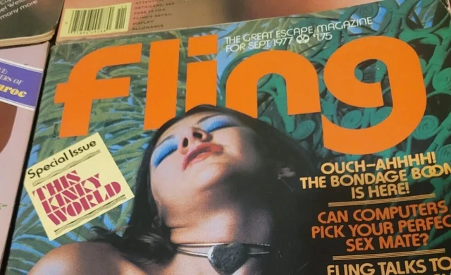 12 VINTAGE FLING And Cheri Playboy Magazines 1977 and up £93.70 ...