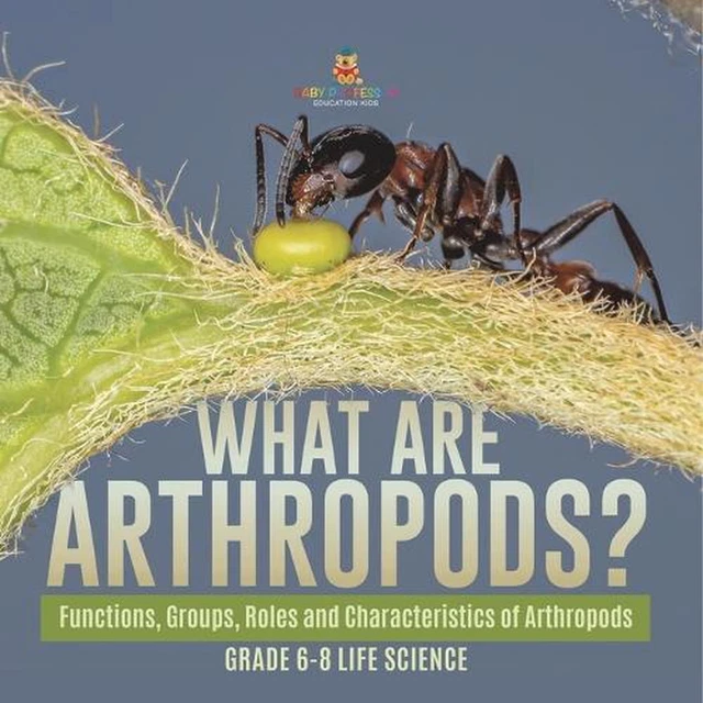 WHAT ARE ARTHROPODS? Functions, Groups, Roles and Characteristics of ...