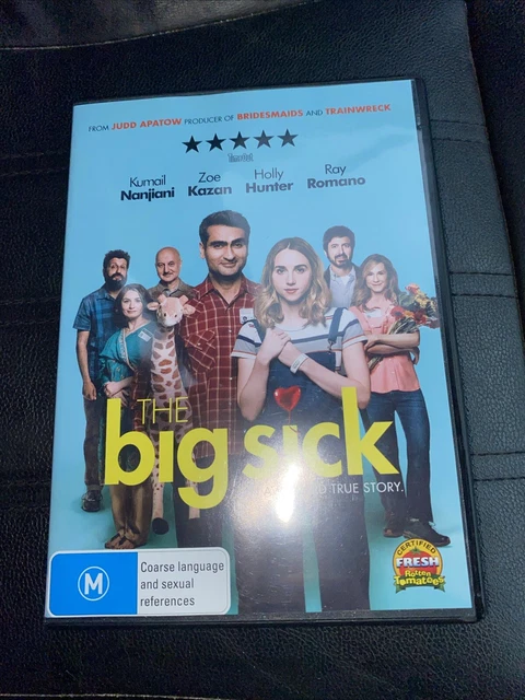 THE BIG SICK Holly Hunter, Ray Romano, Zoe Kazan, Nanjiani (2017) DVD ...