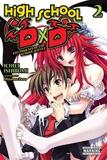 HIGH SCHOOL DXD, Vol. 2 (light novel): The Phoenix of... | Livre | état très bon EUR 13,82 ...